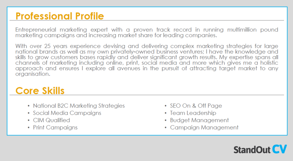 25 Powerful CV profile examples + templates [get noticed]