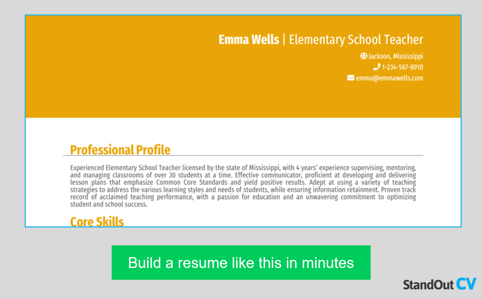 10 Resume Summary Examples That Will Get You Hired In 2024