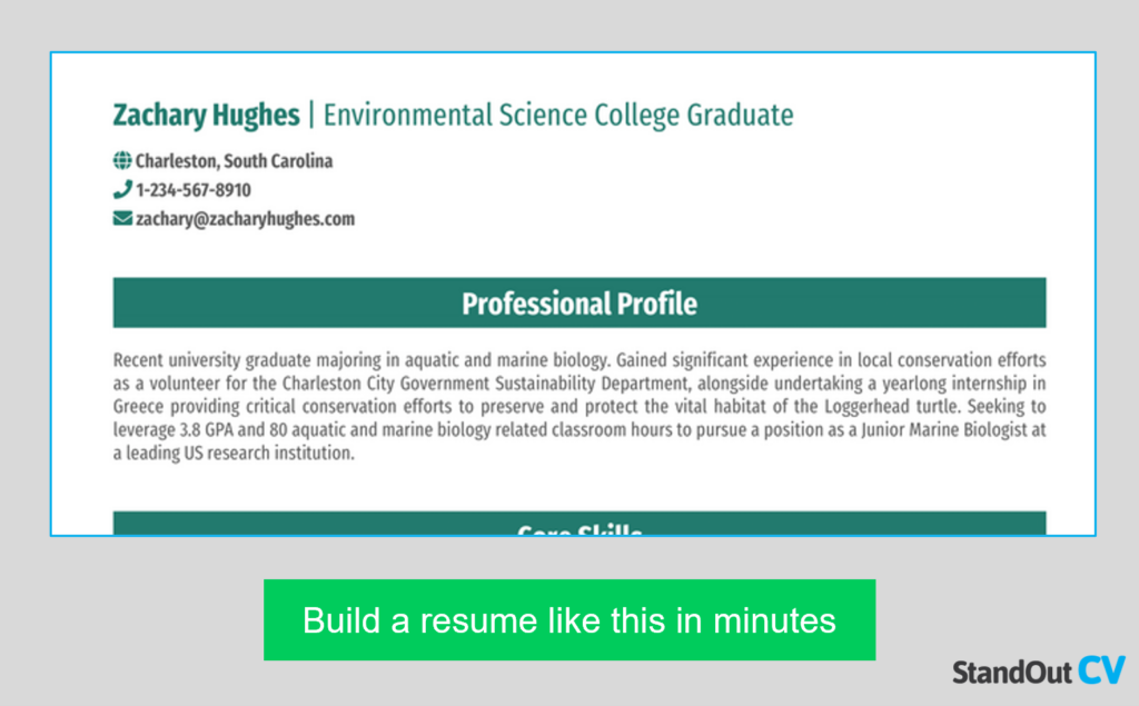 10 Resume Summary Examples That Will Get You Hired In 2024