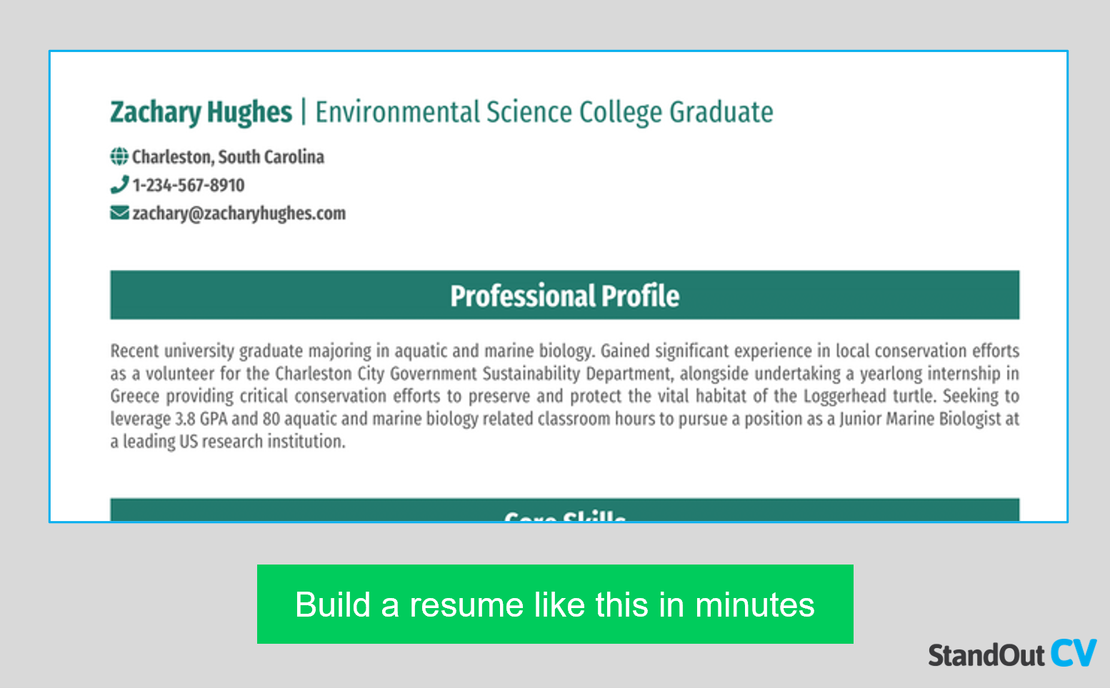 10 Resume Summary Examples That Will Get You Hired In 2023