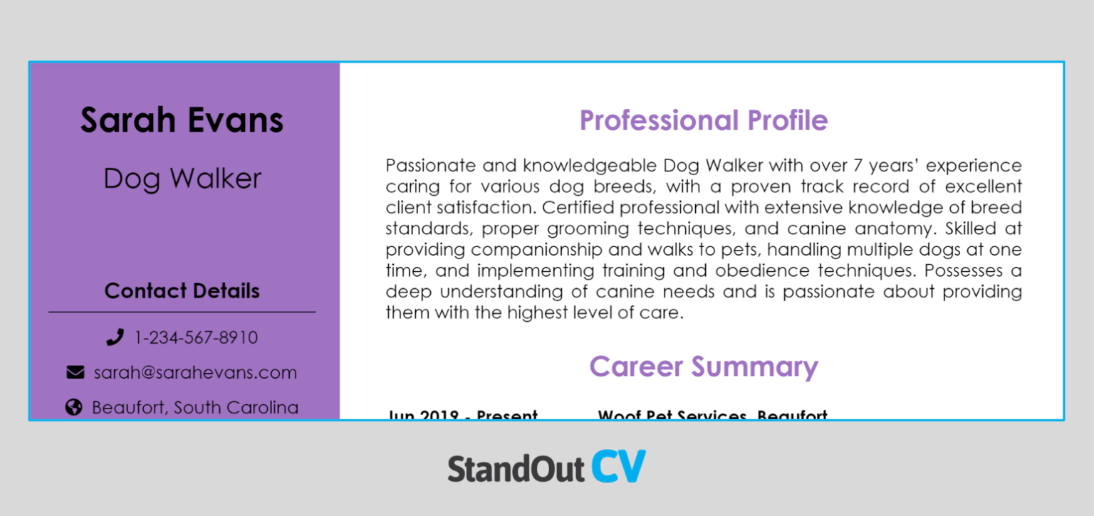 Resume color psychology - 9 best colors for your resume
