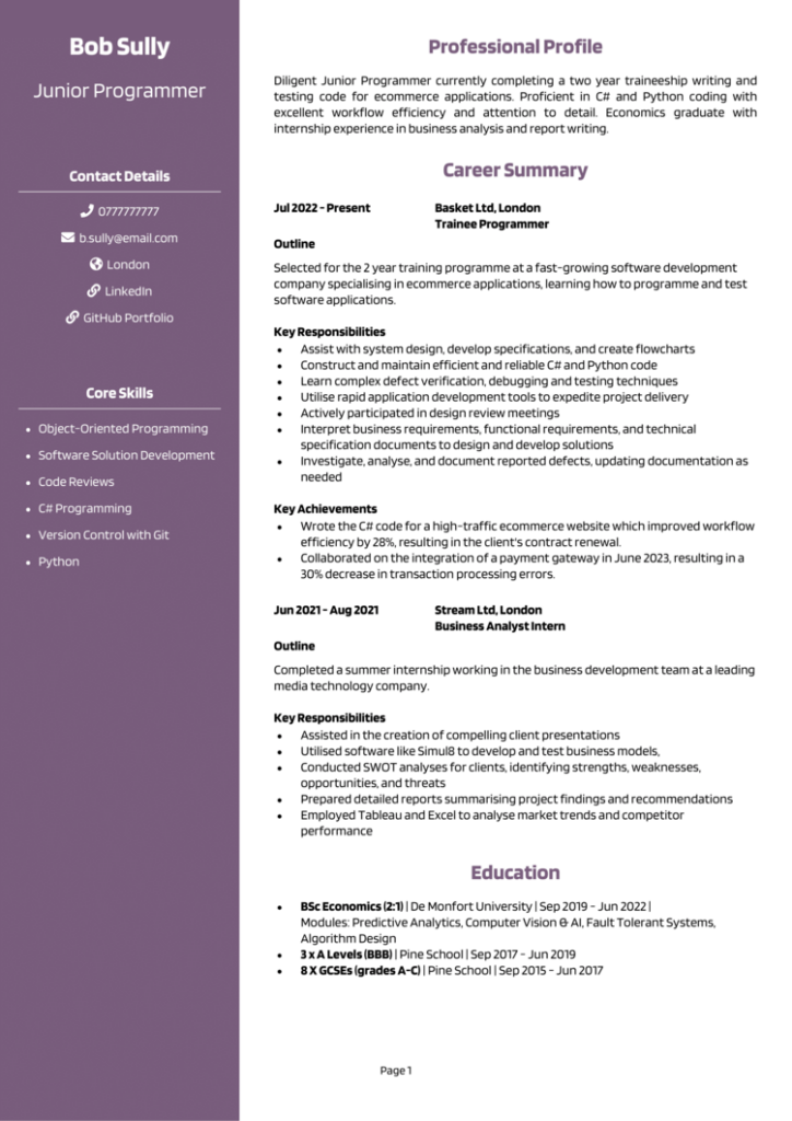 5 Programmer CV examples + guide [Land lucrative tech roles]