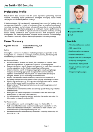 2 SEO Executive CV examples + guide [Get hired]