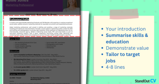 3 First Job CV examples and guide [Kickstart your career]